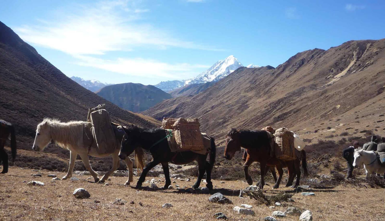 Highlander Trekking & Expeditions | Package View