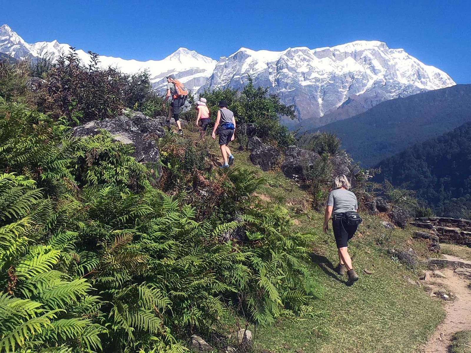 Highlander Trekking & Expeditions | Package View